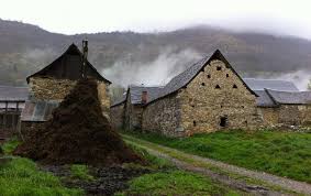 PROJECTION - "Femmes en campagne" de Daniel Vigne - Wamabi
